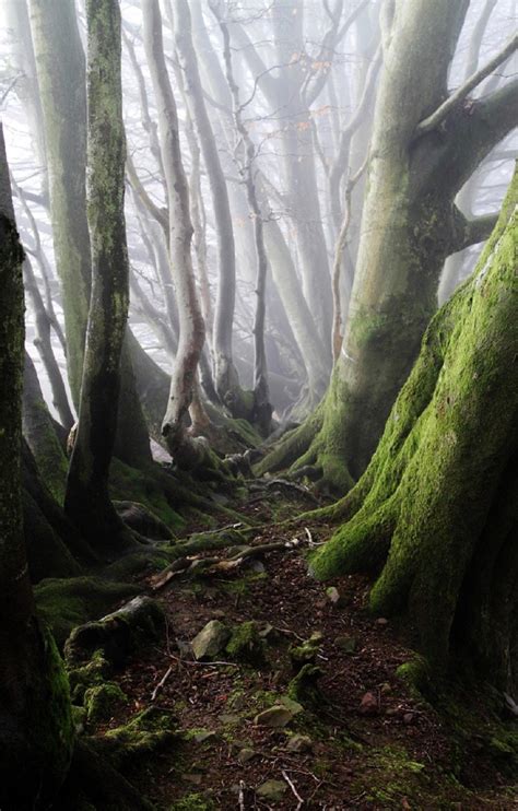 how you can learn node js i o files and paths