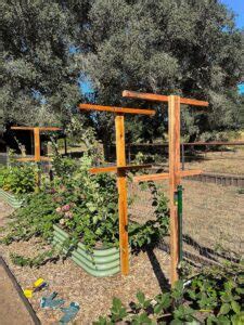 DIY Berry Trellis How To Build A Wire Raspberry Or Blackberry Trellis Video Homestead And Chill