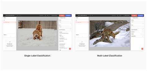 An Introduction To Image Classification Superb Ai Tutorial Ai