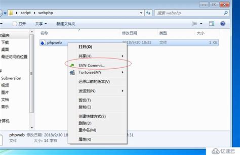 如何进行svn客户端配置及php程序员代码导入 建站服务器 亿速云