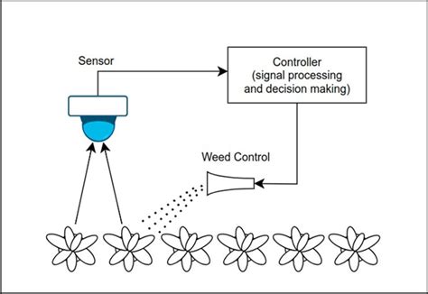 Automated Grassweed Detection In Wheat Cropping System Current Techniques And Future Scope