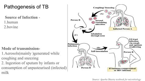 Ntep National Tb Elimination Programme Pptx
