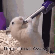 Deep Throat S Tenor