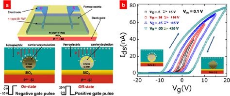 A Si Nwfefet Memory Device A A Schematic View Of A Back Gate Download Scientific Diagram