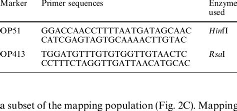 Codominant Scar Markers Converted From Rapd Markers Linked To The Rf