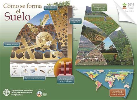 1 Formación Del Suelo Fuente Organización De Las Naciones Unidas