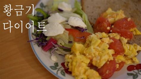 Vlog 황금기 다이어트 일주일 다이어트 식단 집밥 도시락 배달 음식 외식 메뉴 운동 없이 다이어트 Youtube