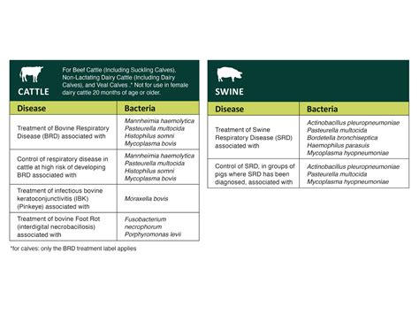 Tulieve® Tulathromycin Injection Injectable Solution Norbrook