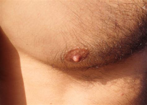 Tasty Man Bits 35 Images Daily Squirt