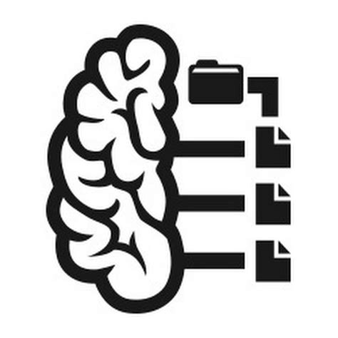 Brain Imaging Data Structure Youtube