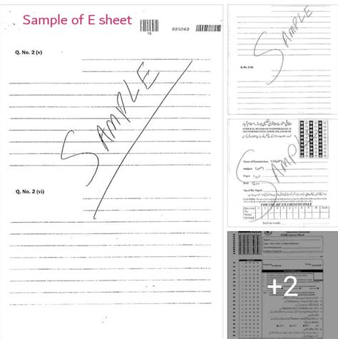 What Are E Sheets