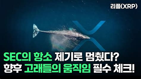 리플 급락 이후의 대응 방법은 고래들은 저점 매수를 기다리고 있습니다 리플코인 리플전망 리플호재 Xrp