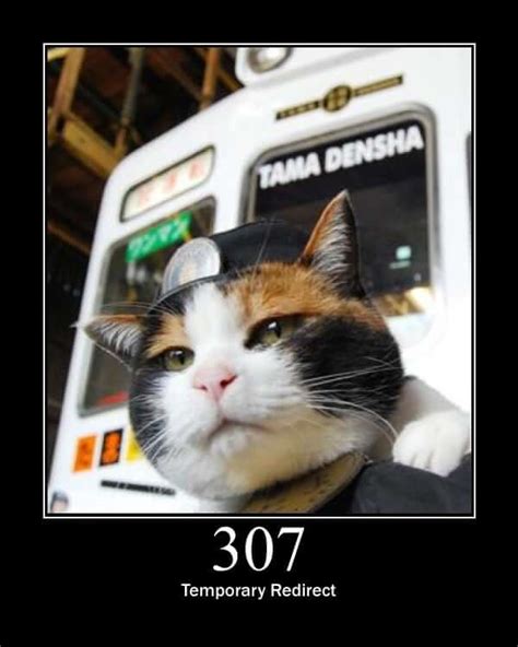 307 Temporary Redirect Cats