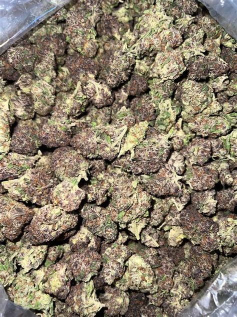 Cookies And Cream Weed Strain Buy Weed Online In Europe