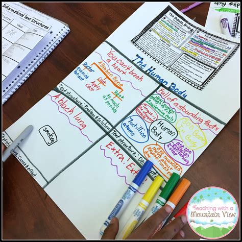 Teaching With A Mountain View Informational Text Structures