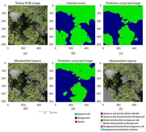 Algorithms February 2024 Browse Articles