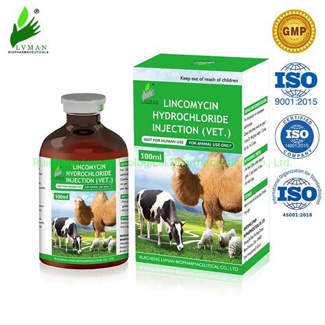 Lincomycin Hydrochloride Injection Lincomycin And Hydrochloride
