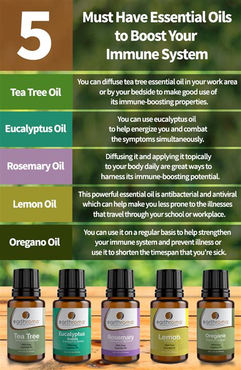 Best Essential Oil Blends For Immune System At Keira Crampton Blog