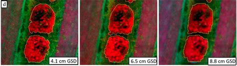 Remote Sensing Free Full Text Using Multi Spectral Uav Imagery To Extract Tree Crop
