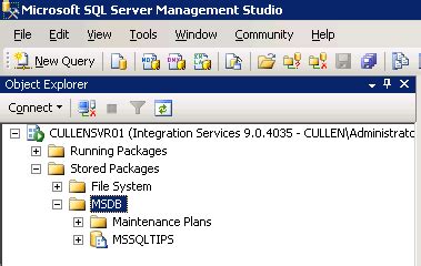 Get SSIS Package Store To Work With SQL Server Named Instance