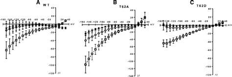 Current Voltage Relationships In Hdat Expressing Xenopus Oocytes A