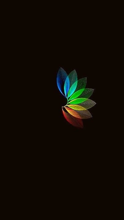 Amazing Flower Create Using Python 🐍🌹 Coding Pythonturtle Python