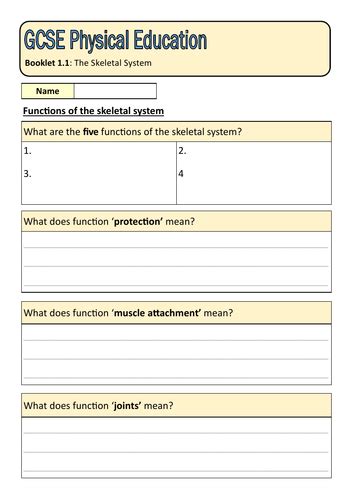 Gcse Pe Skeletal System 1 1 Teaching Resources