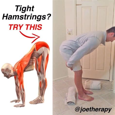 Hamstring Flexibility Progression Atelier Yuwa Ciao Jp