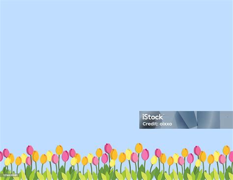 스프링 페이퍼 컷 튤립 매끄러운 테두리 패턴 꽃 요소와 편지 형식 인사말 카드입니다 벡터 모형 그림입니다 파란색 배경에 튤립이 피는 텍스트 배너 공간 Diy에 대한 스톡