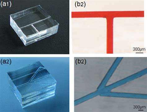 Rapid Prototyping Of Branched Microfluidics In Pdms Using Capillaries
