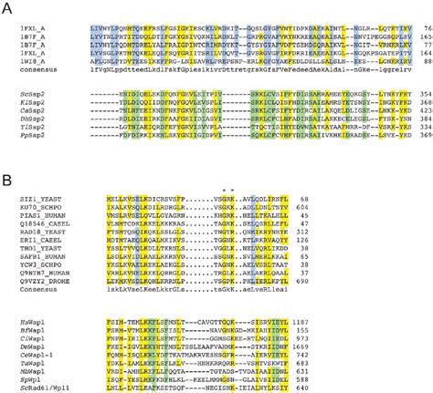 Multiple Sequence Alignments Of Remotely Conserved Domains In Proteins