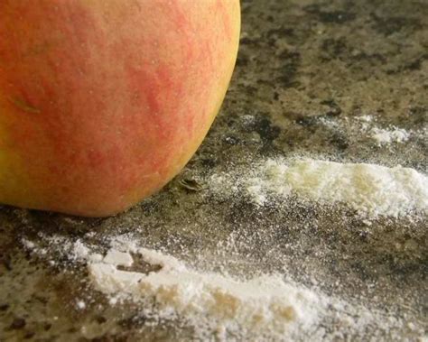 Apple Sugar Recipe Chefs Resource Recipes