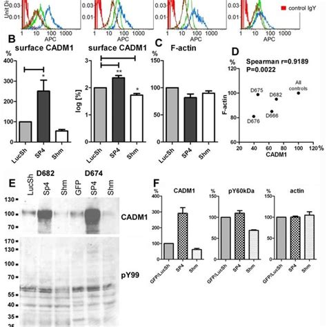 Basic Domain Structure Of Integrins A And Integrin I Domain Download Scientific Diagram