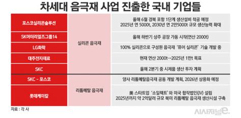 실리콘부터 리튬메탈까지···‘차세대 음극재 시장 선점 경쟁 본격화 시사저널e 온라인 저널리즘의 미래