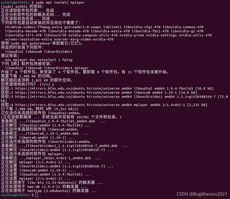 详解 Linux 中 Apt 命令的使用apt Purge命令 Csdn博客