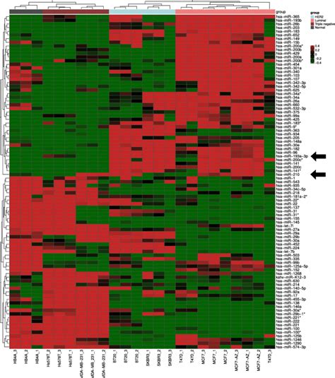 Hierarchical Clustering Analysis Of Breast Cancer Cell Lines And Normal