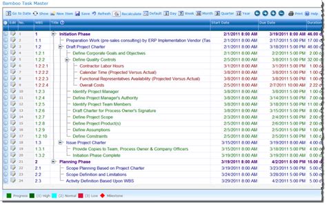 WBS Level Format Settings Bamboo Solutions