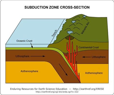 Subduction Zone Cross Section