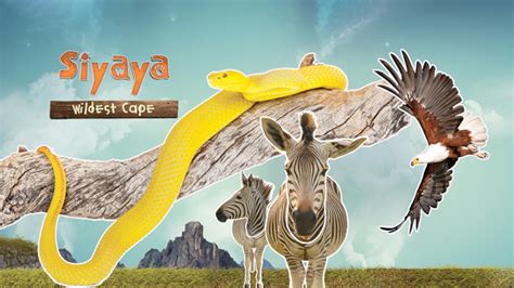 Watch Ruby Gloom Season 1 Prime Video