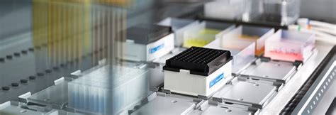 Successful Formulation Development For Biologics Using A Unique Biophysical Prediction And