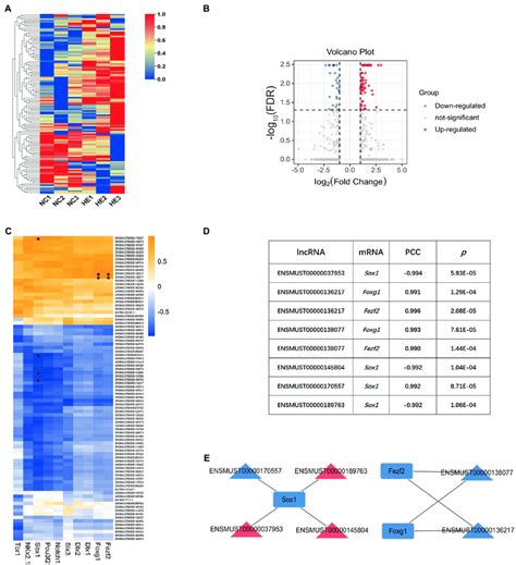 Lncrna Profiling And De Lncrna Hub Mrna Interaction Network Download Scientific Diagram