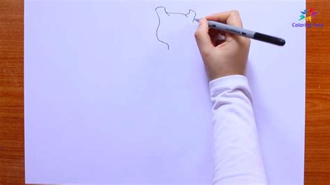 How To Draw Mewtwo A Step By Step Guide