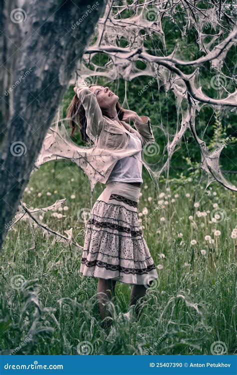 Woman And Tree With Webs Stock Photo Image Of Spiders 25407390