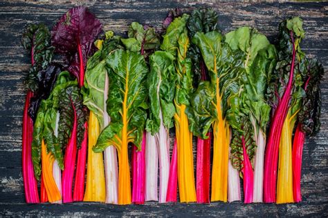 6 Easy Steps How To Harvest Swiss Chard The Gardening Dad