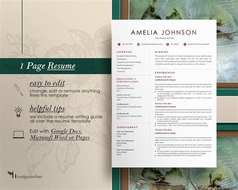 Modern Resume Template Google Docs Professional Resume Template Executive Resume Template