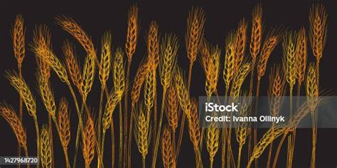 밀의 귀 보리 시리얼 수확 스파이크 곡물 옥수수 농업 유기농 농업 건강 식품 상징 베이커리 디자인 요소 벡터 일러스트 레이 션 농장에 대한 스톡 벡터 아트 및 기타 이미지