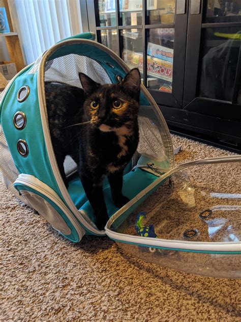 Spoon Loves Her Backpack Raww