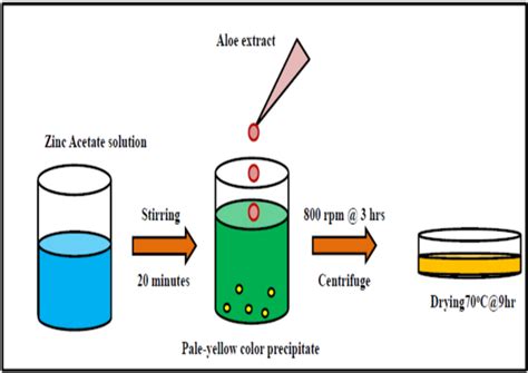 Synthesis Of Zno Nps From Biological Route Download Scientific Diagram