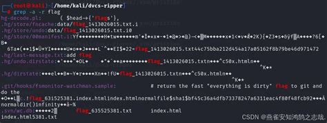 Ctfhub：信息泄露所有题目 Csdn博客