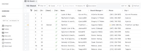 Data Tab Overview Ataccama One